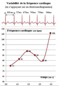 Le nerf vague – Activez ce nerf si important pour la santé globale ...